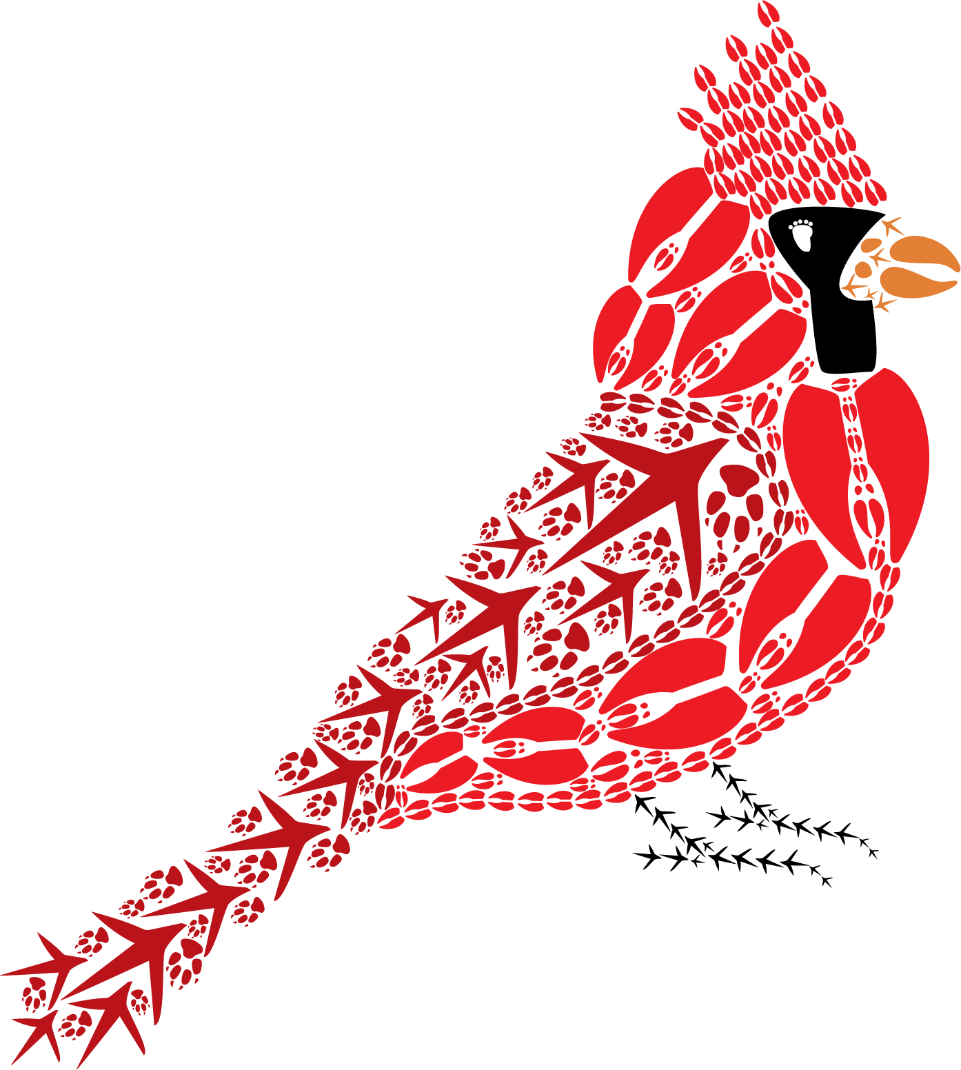 Cardinal of Wild Animal Tracks - Animal Track Designs – Bold Spark ...